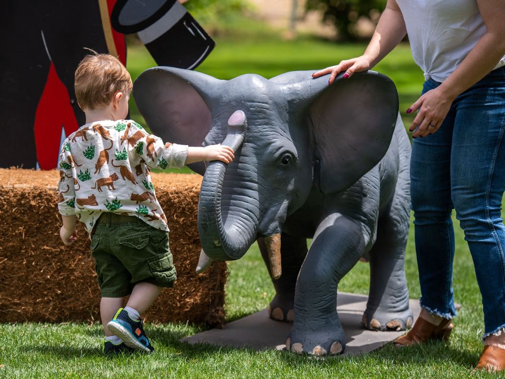 ASGN's Vineyard Carnival: Event Recap